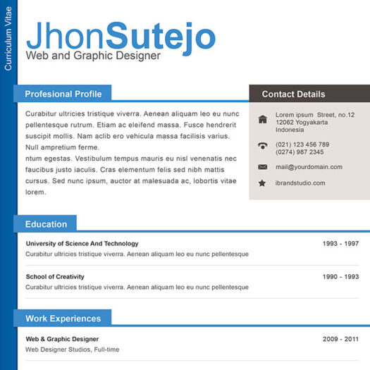 Currículum perfecto | Modelo Curriculum